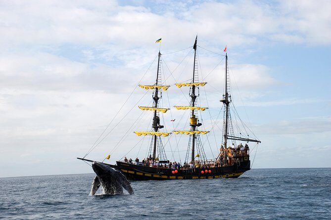 Whale-Watching Pirate Ship Cruise in Los Cabos - FAQ