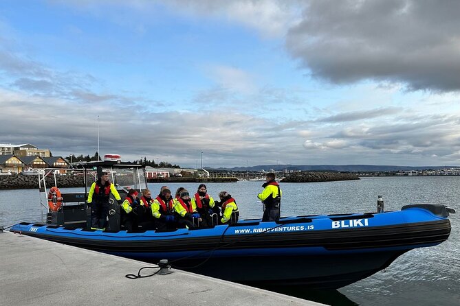 Whale Watching - RIB Boat Adventure in Kopavogur, Iceland - Why Travelers Love This Tour