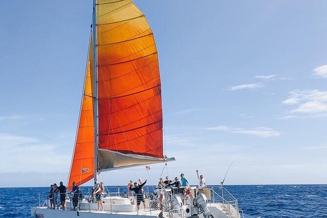 Whale Watching Sail in Honolulu with Open Bar - The Experience in Detail