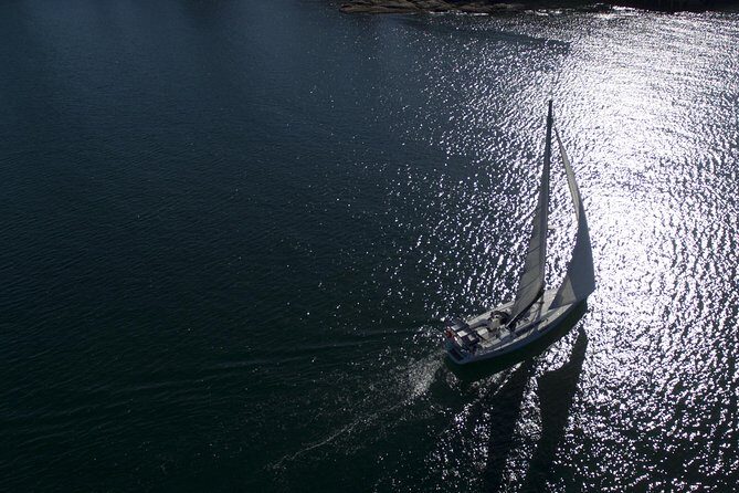 Whale Watching Sailing Experience in Sydney - Authentic Feedback from Travelers