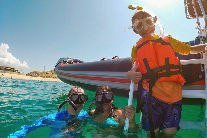 Whale Watching & Snorkeling Combo in Los Cabos with Photos Included - Value and Considerations