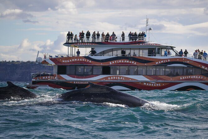Whale Watching Sydney 2-Hour Express Cruise - Wildlife Encounters and Authentic Experiences