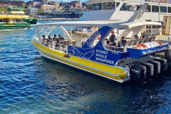 Whale Watching Sydney - Key Points