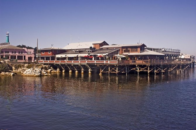 Whale Watching Tour - Whale Watching Tour in Monterey & Carmel: An Authentic Marine Adventure