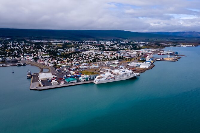 Whale Watching Tour From Akureyri City Central - Overview of the Whale Watching Tour
