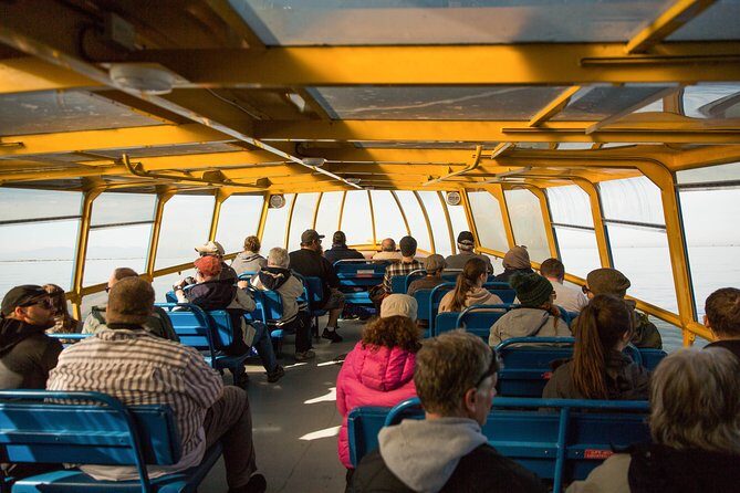 Whale-Watching Tour from Vancouver - The Practicalities: What You Need to Know