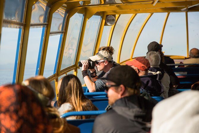 Whale-Watching Tour from Vancouver - FAQ