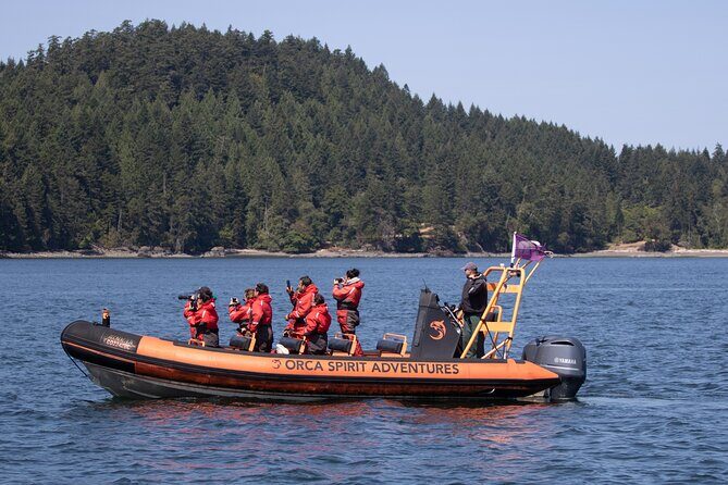 Whale Watching Tour in a Zodiac Boat in Victoria - Authentic Experiences from Travelers