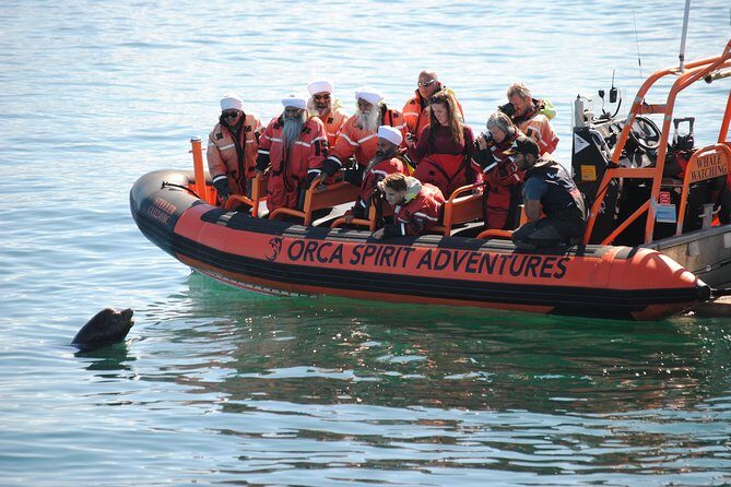 Whale Watching Tour in a Zodiac Boat in Victoria - The Value of the Experience