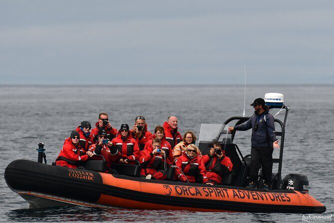 Whale Watching Tour in a Zodiac Boat in Victoria - The Sum Up