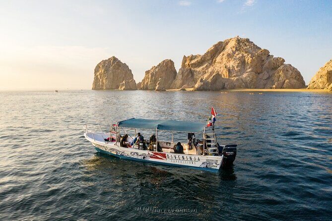 Whale Watching Tour in Cabo San Lucas - An In-Depth Look at the Whale Watching Tour in Cabo