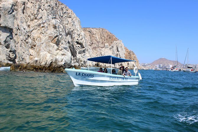 Whale Watching Tour in Glass Bottom Boat (VisitA Cabo) - Analyzing the Value