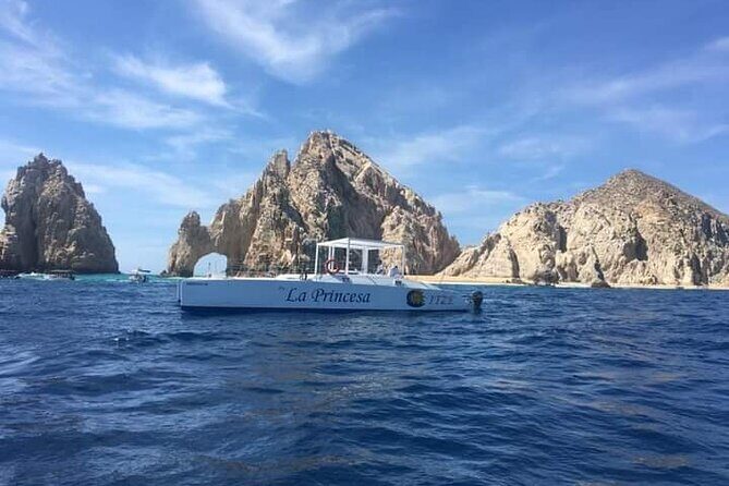 Whale Watching Tour in Los Cabos - The Experience: From Start to Finish