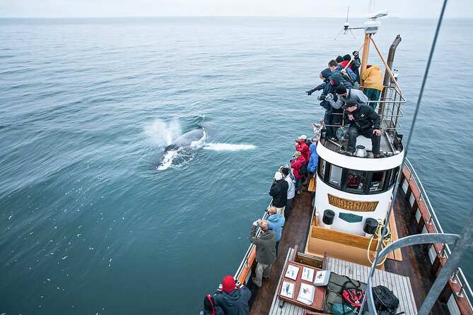 Whale Watching Tour Review: A Memorable Experience - Accessibility and Policies