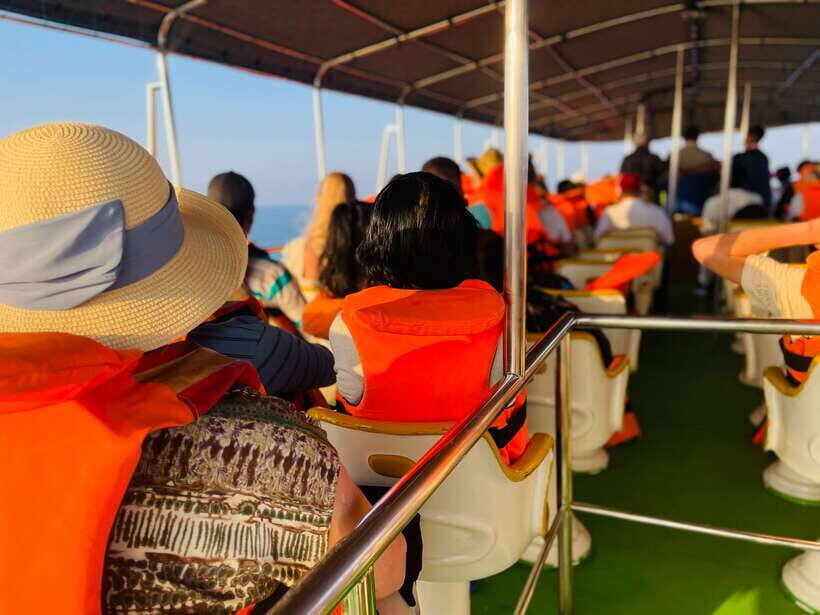 Whale Watching Tour with Transfers - Who will love this tour?