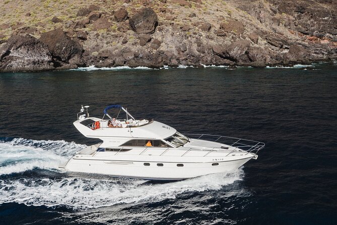 Whales and Dolphins Excursion on a Luxury Yacht in Canary Islands - Departure and Pick-up Details