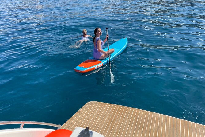 Whales and Dolphins Excursion on a Luxury Yacht in Canary Islands - Exploring the Whales and Dolphins