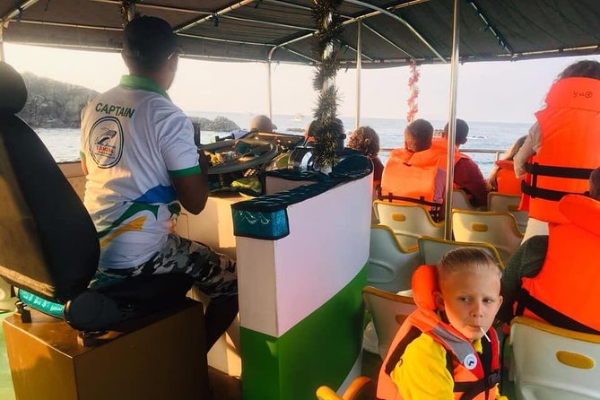 Whales and Dolphins Watching-Luxury Super Grade Cruiser(Hotel Pick up offered) - FAQ