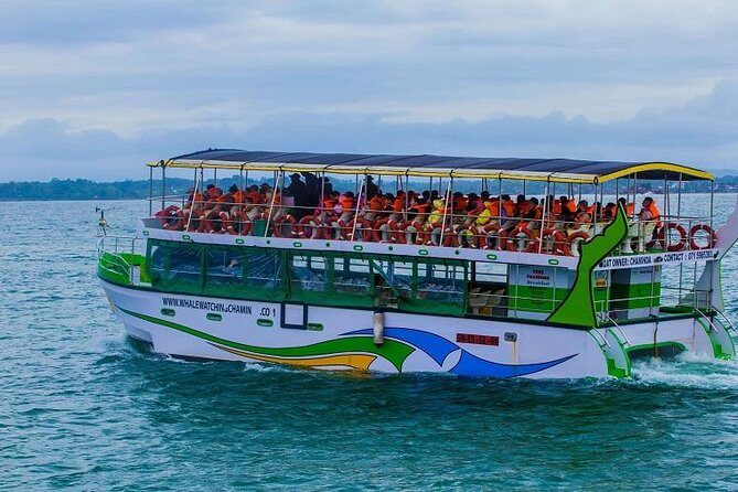 Whales & Dolphin Watching Day Tour including Handunugoda Teafactory - Final Thoughts: Is This Tour Right for You?