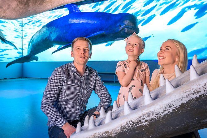 Whales Of Iceland Admission Ticket - Nearby Attractions