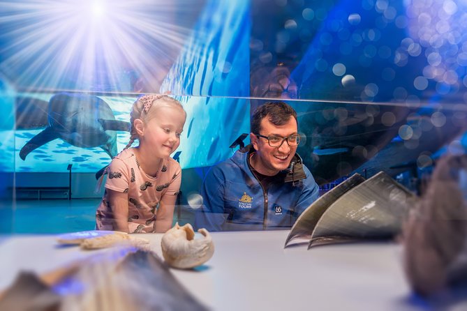 Whales Of Iceland Admission Ticket - Planning Your Visit