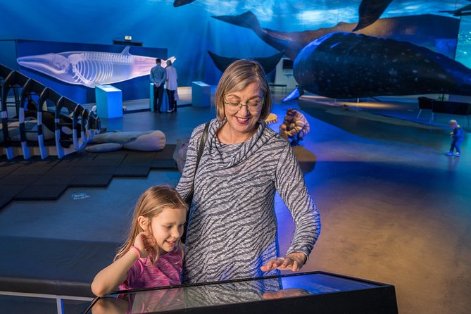 Whales Of Iceland Admission Ticket - What to Expect