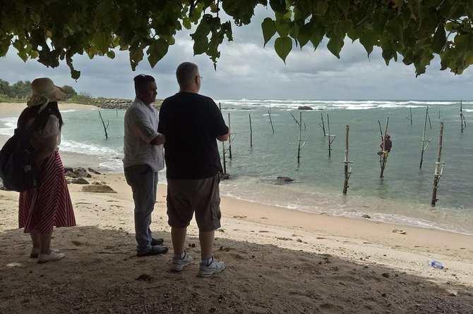 Whales Watching Mirissa Day Tour - Final Thoughts