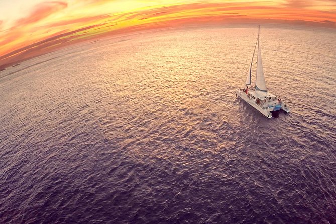 Whalewatch Sail Deluxe Tour from Ma'aleae - Who Will Love This Tour?