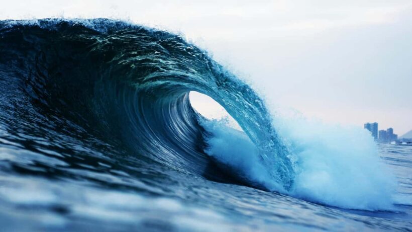 Whangamat: Private Couple Surf Lesson - Pricing and Value