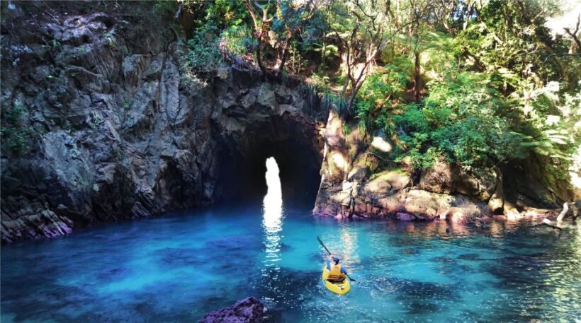Whangamata: Donut Island Guided Kayaking Experience - Final Thoughts