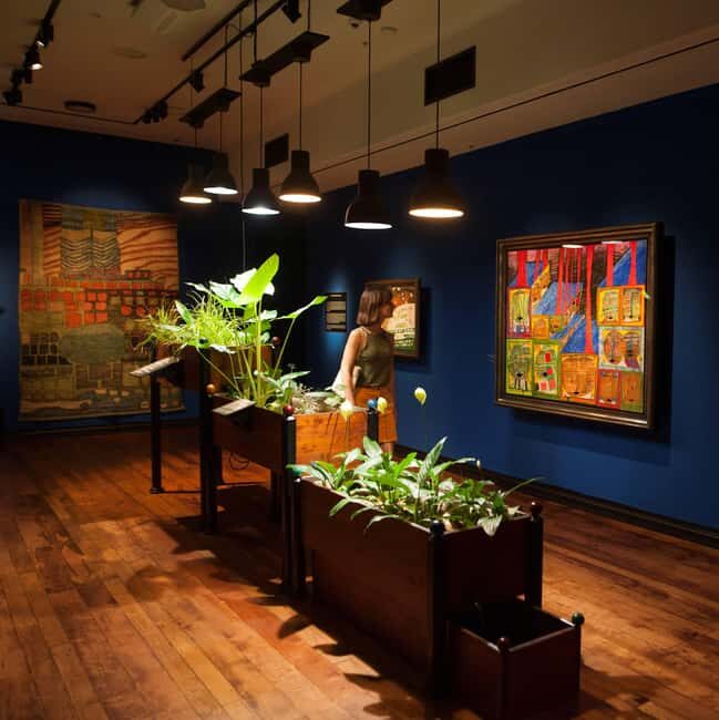 Whangrei: Hundertwasser Art Centre: Admission for one day. - Who Will Enjoy This Tour?