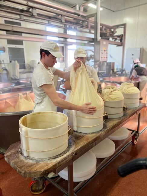 What a day: Parmesan, Balsamico , Lambrusco Taste&Tour+Lunch - Practical Details and Value