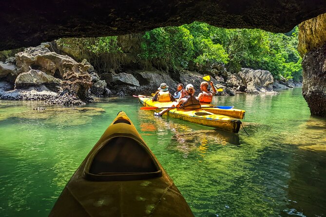 What a great combination, day cruise and night kayak with glowing biolumenescent - Authentic Experiences and Traveler Feedback