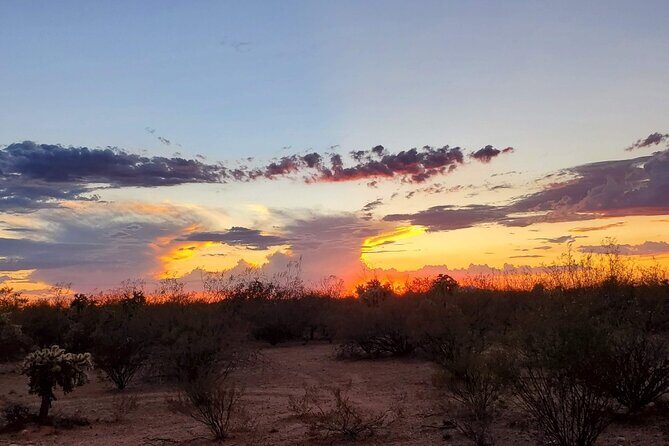 When Nature Calls - Exploring the Sonoran Desert - Final Thoughts
