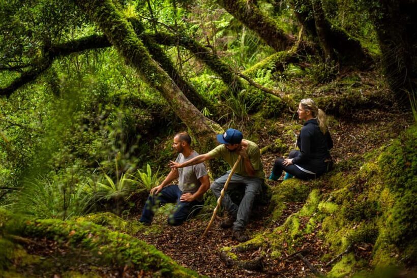 Whirinaki Forest Footsteps Guided Walking tour - Practical Details & Value