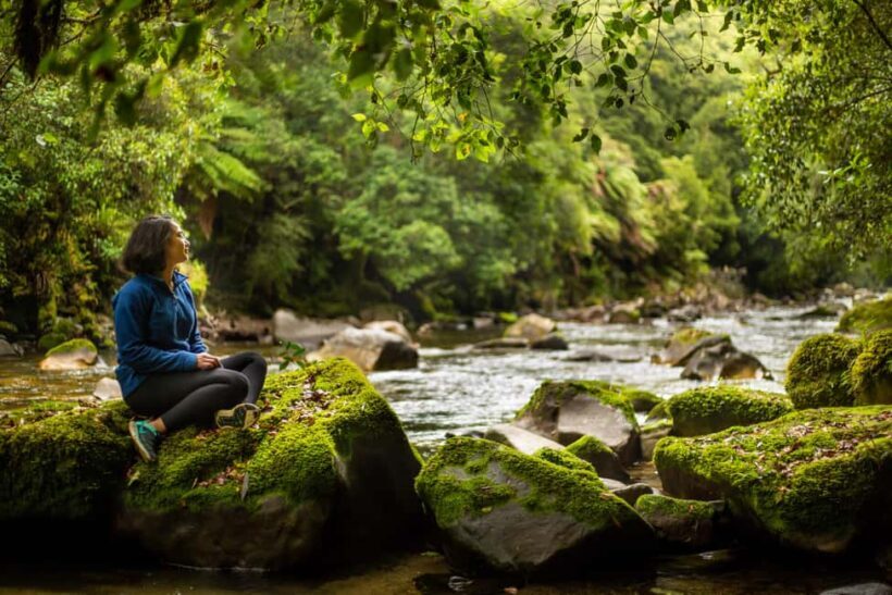 Whirinaki Forest Footsteps Guided Walking tour - FAQ
