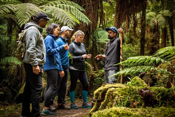 Whirinaki Forest Footsteps: Mori Guided Tour, Picnic & Transfer - FAQs