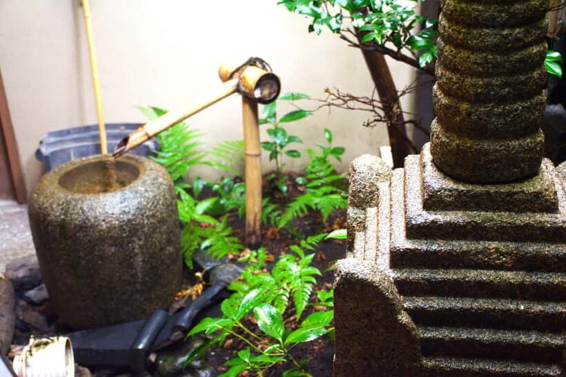 Whisk Your Own Matcha: A Zen Tea Ceremony Experience - Key Points