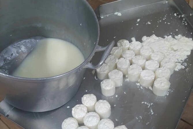 Whispering Winds and Curdled Dreams: From the Mountains to Table - The Logistics: Timing, Meeting Points, and Flexibility