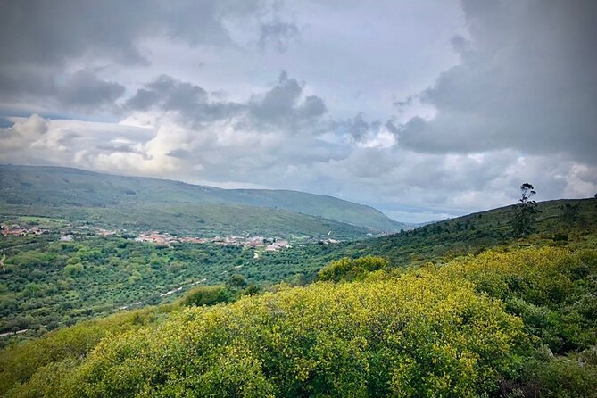 Whispering Winds and Curdled Dreams: From the Mountains to Table - Price and Value