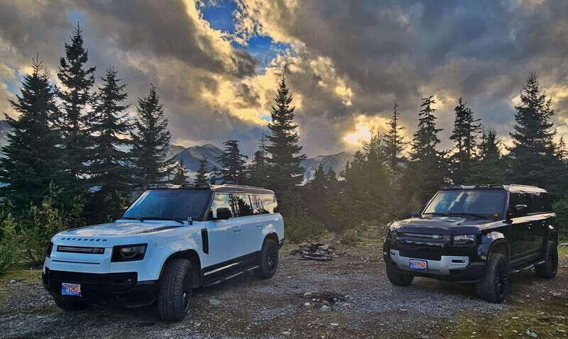 Whistler: Afternoon Bears Spotting Tour in Land Rover - An In-Depth Look at the Whistler Black Bear Tour