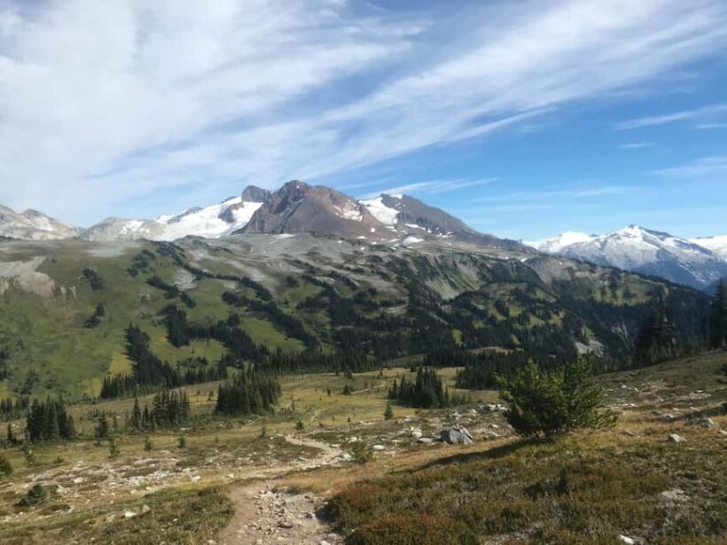 Whistler: Alpine Hiking Tour with Gondola Ride - A First Look at the Whistler Alpine Hiking Experience