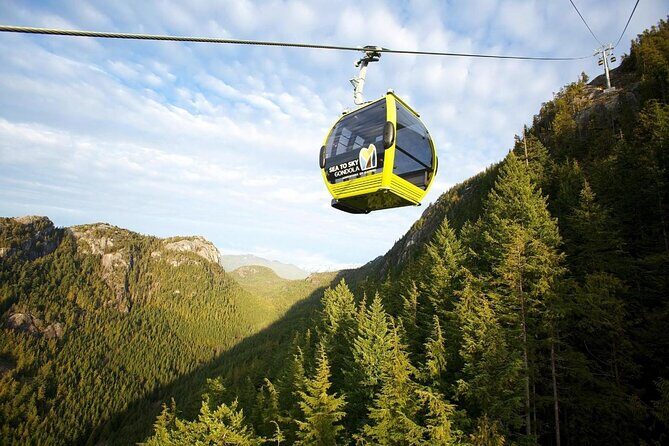 Whistler and Sea to Sky Gondola Tour + Shannon Falls - A Detailed Look at the Tour Experience
