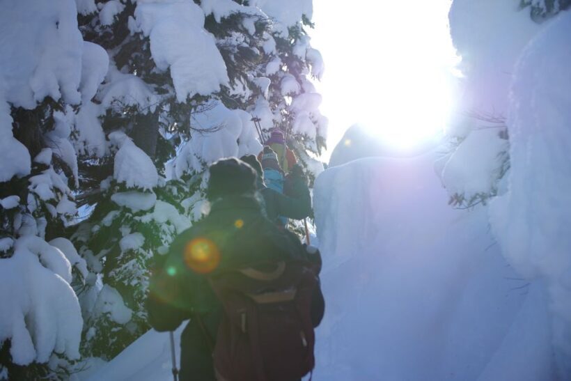 Whistler: Backcountry Snowshoeing Tour with Guide - Key Points