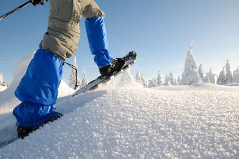 Whistler: Backcountry Snowshoeing Tour with Guide - An In-Depth Look at the Whistler Backcountry Snowshoeing Tour