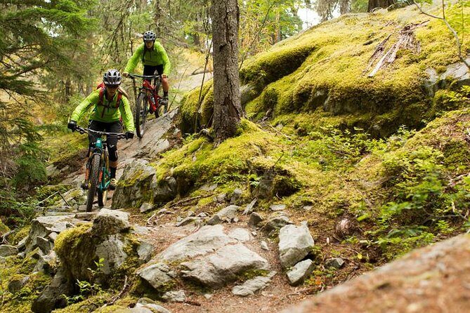 Whistler Full-Day Mountain Bike Tour - A Thorough Look at the Whistler Full-Day Mountain Bike Tour