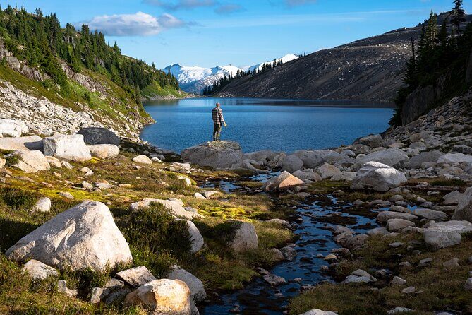 Whistler Guided Day Hiking - Why Choose Whistler Guided Day Hiking?