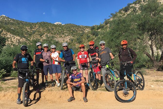 Whistler Half-Day Mountain Bike Tour - What to Expect from the Whistler Half-Day Mountain Bike Tour