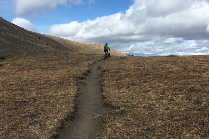 Whistler Half-Day Mountain Bike Tour - The Review from Travelers: Authentic Perspectives
