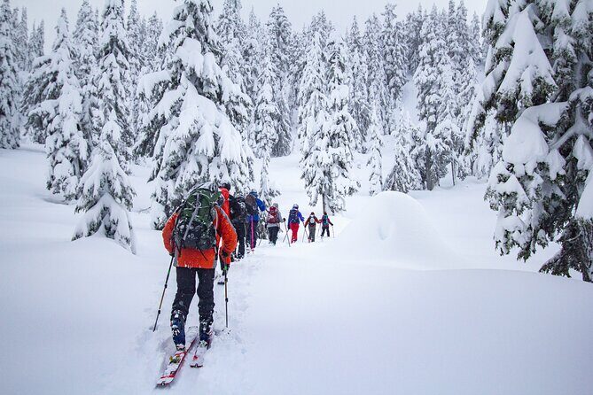 Whistler Intro to Backcountry Skiing and Splitboarding - Group Size and Logistics
